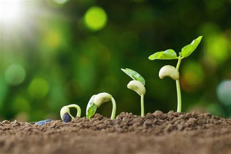 Deploying An Ai Edge App Using Openvino By Surya Prabhakaran Towards Data Science