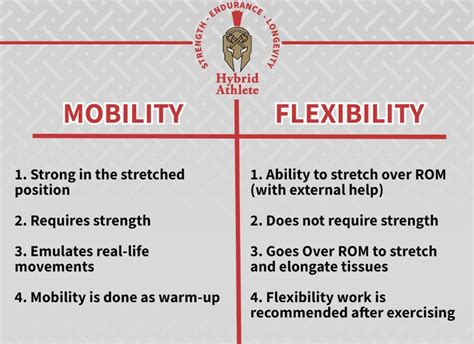 Mobility Vs Flexibility What Are Their Key Differences