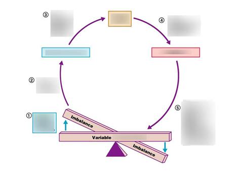 Chapter 1 Lecture Review Questions Overview Of Anatomy And Physiology