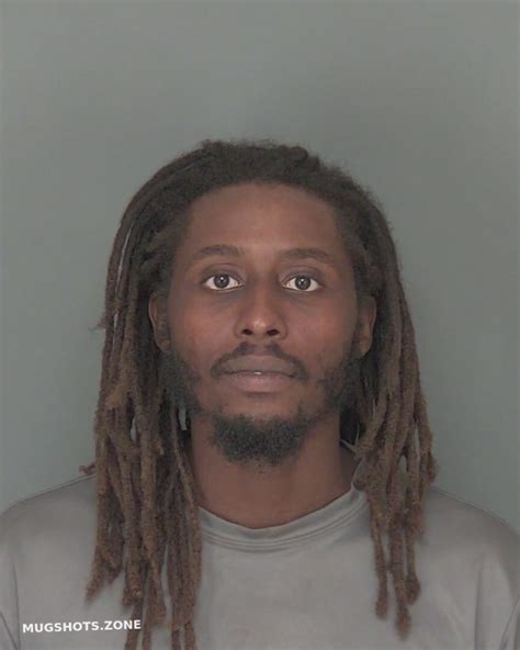 Greer Deone Shakur 07 10 2024 Highlands County Mugshots Zone