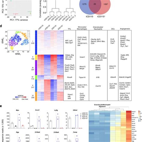 Granulocyte Neutrophil Related Gene Expression In Cd115⁻ Monocytic