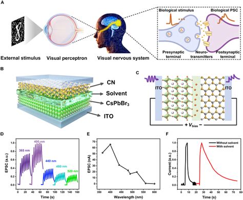 Self Powered Photonic Synapses With Rapid Optical Erasing Ability For Neuromorphic Visual