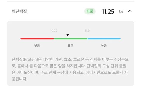 앳플리 tx 스마트 체중계 후기 redmilk