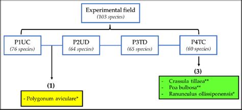 Representative Diagram Of The Analysis Of Indicator Species Isa For Download Scientific