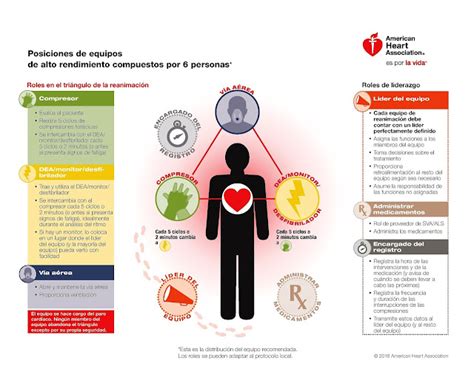 Ems Solutions International ¿que Es Pit Crew Cpr High Quality Cpr