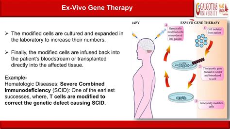 Gene Therapy Introduction Ex Vivo And In Vivo Gene Therapy 2024 Ppt