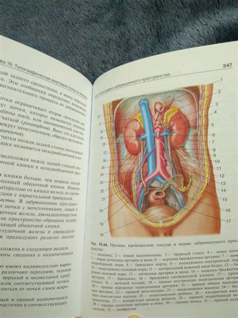 Книга Топографическая анатомия и оперативная хирургия Учебник В 2 х томах Том 2 Каган