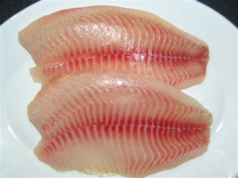 Sustainable Seafood A Key To Improving Climate Impact Aquaculture
