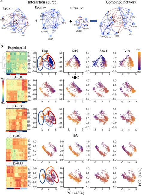 Role Of Noise And Parametric Variation In The Dynamics Of Gene Regulatory Circuits Npj Systems