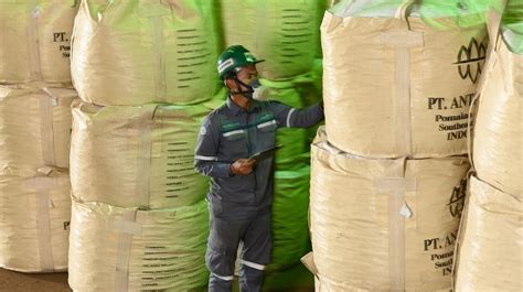 Antam Rilis Laporan Eksplorasi Semester I 2023 Berikut Rinciannya