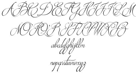 Brotherhood Script Font By Youssef Habchi Fontriver
