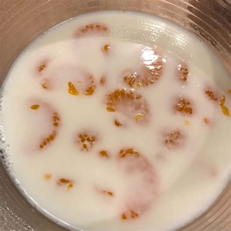 たっぷり食べたい！牛乳みかん寒天 By よちこ443 【クックパッド】 簡単おいしいみんなのレシピが396万品