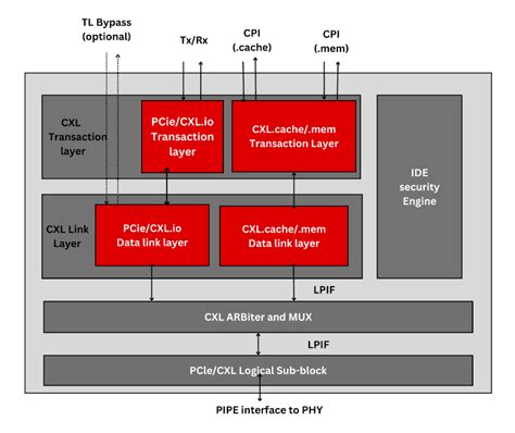 Cxl Silicon Ips Xtremesilica
