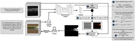 Paper Accepted At Miccai 2023 Dfki Interactive Machine Learning Lab