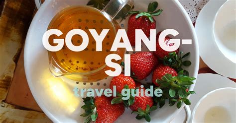 🇰🇷 Goyang Si Travel Guide 2025 Travelfeed