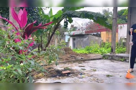 一个多星期不在宿舍了今天来打扫卫生发现一个问题农村美食 宿舍 农村 问题