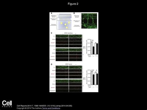 Volume 7 Issue 5 Pages June 2014 Ppt Download