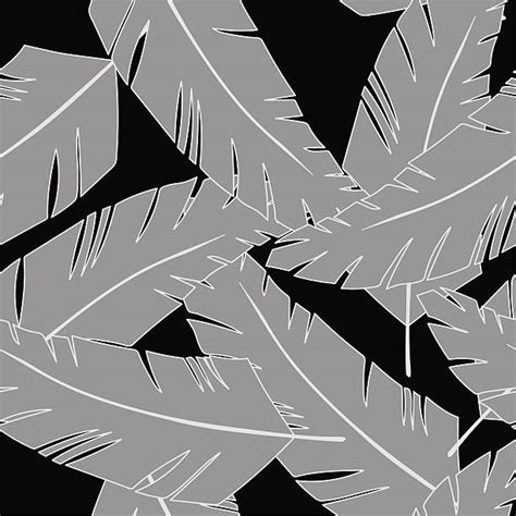 80 Single Peacock Feather On The White Background Stock Illustrations
