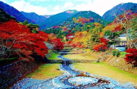紅葉情報2019岐阜県口コミで見つけるベストスポット 紅葉口コミ情報2019
