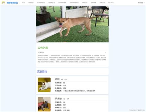 基于springboot的宠物领养网站管理系统