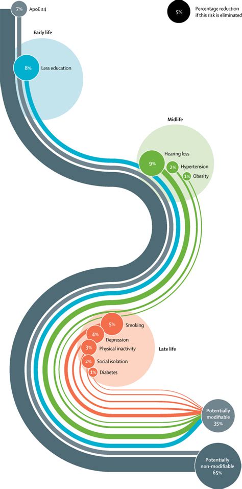 Dementia Risk Factors Queensland Brain Institute University Of