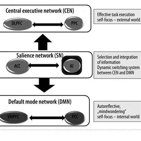 Brain Network Models Of Cognitive And Emotional Processing Black Download Scientific Diagram