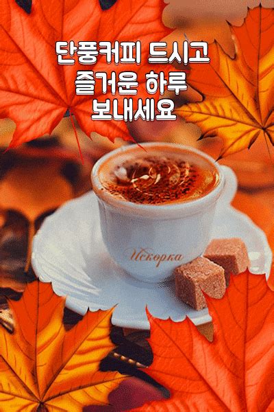 담에 생긴 구멍 2022년 9월 6일