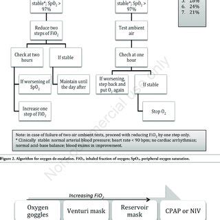 Algorithm To Improve Oxygenation FiO2 Inhaled Fraction Of Oxygen Download Scientific Diagram