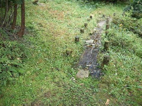 東海の四季 湿地湿原 明智の森