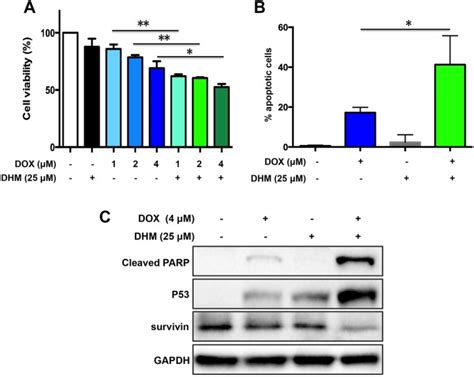 Dihydromyricetin Induces Apoptosis And Reverses Drug Resistance In Ovarian Cancer Cells By P