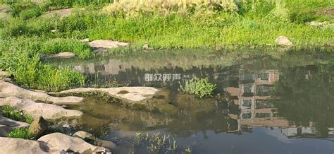 怀德镇滨江路旁沱江支怀疑污水直排导致水质变差 群众呼声四川问政 四川省网上群众工作平台 富顺县委书记