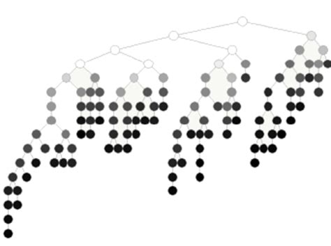 Map Perspective Representing A Hierarchical Clustered Decomposition