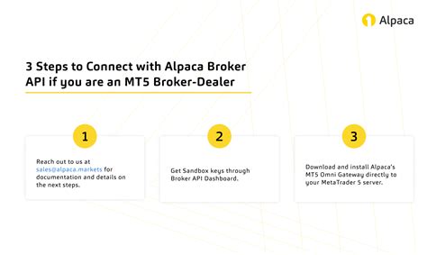 Announcing Metatrader 5 Omni Gateway For Alpaca Broker Api