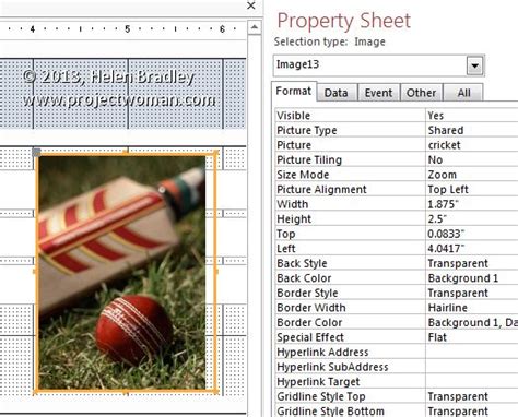 Database First Steps Access 101 Create A Data Entry Form Access