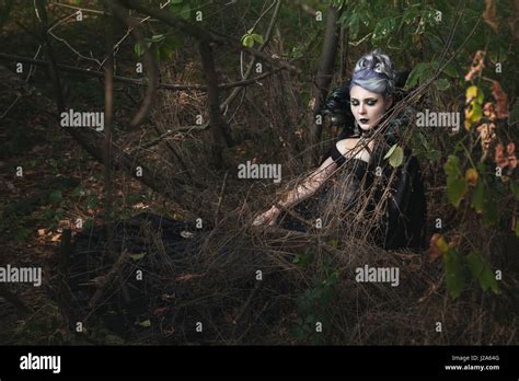 Fille En Robe Noire Dans Les Bois Banque De Photographies Et Dimages à