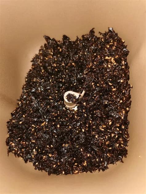 【用紫菜做海苔【芝麻海苔碎】超级简单图片】爱美食的卷卷下厨房