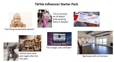 Tiktok Influencer Starter Pack Rstarterpacks