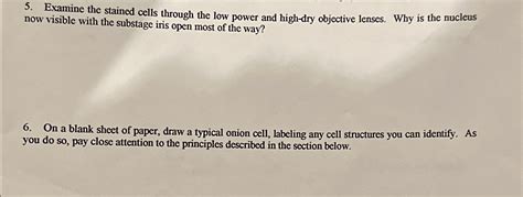 Solved Examine The Stained Cells Through The Low Power And