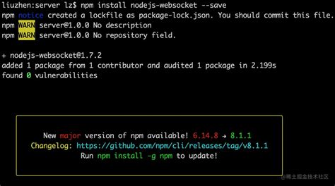 教你启动一个最简单的 Websocket 服务小知识，大挑战！本文正在参与「程序员必备小知识」创作活动 目录 问题 解决 掘金