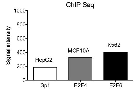 Encode Chip Seq Transcription Factor Binding Analysis Proximal To Download Scientific Diagram