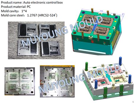 Precision Molded Plastics Muyoung Mould
