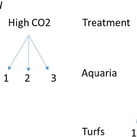 experimental design for the short term manipulative experiment