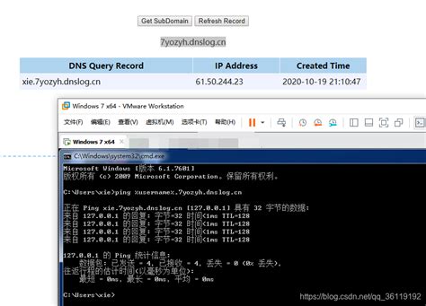 使用dnslog进行盲打dnslogpw Csdn博客