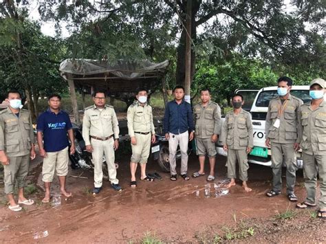 ដើមធ្នង់ដ៏ធំមួយដើមនៅស្រុកបន្ទាយស្រី ត្រូវគេលួចកាប់ សារព័ត៌មាន នគរវត្ត