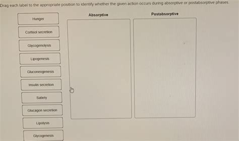 Solved Drag Each Label To The Appropriate Position To