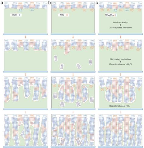 The Proposed Mechanism Of The RCP Method Ac Schematic Illustration Download Scientific