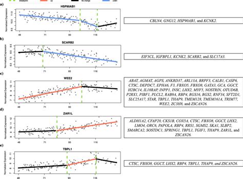 Single Cell Profiling Reveals Transcriptome Dynamics During Bovine