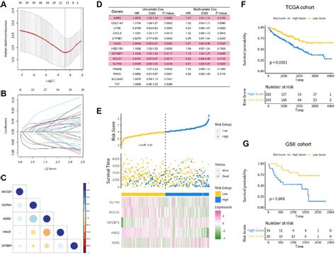 Fatty Acid Metabolism Related Signature Predicts Survival In Patients
