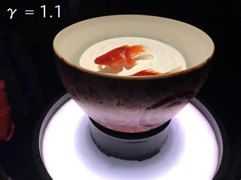 99 Opencv 4 ガンマ補正で画像を見やすく調整 Pythonやってみる！