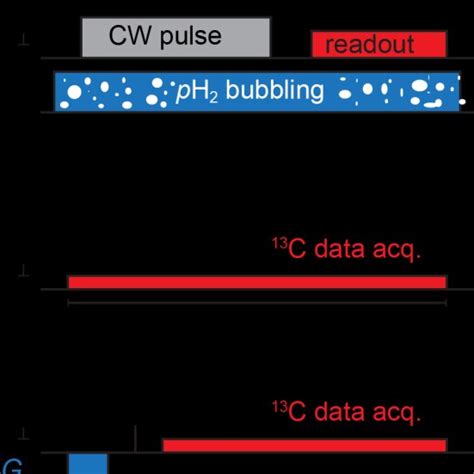 Schematic Of A Sabre Sheath A And Light Sabre B Sequences The Download Scientific Diagram